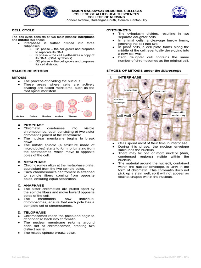 BIOCHEM-LAB-WEEK-2 | PDF | Mitosis | Histology