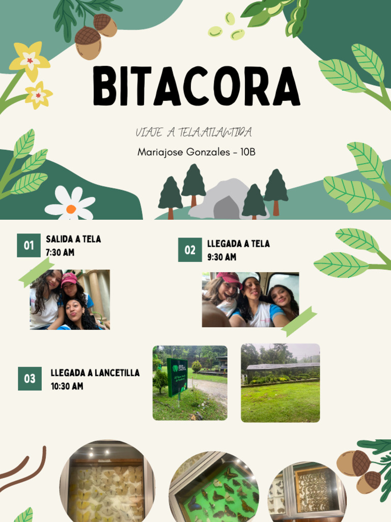 Bitacora | PDF