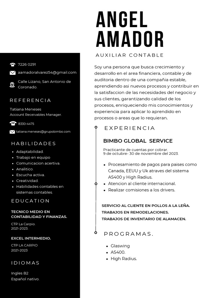 Curriculum Angel Amador. Contador | PDF | Negocios