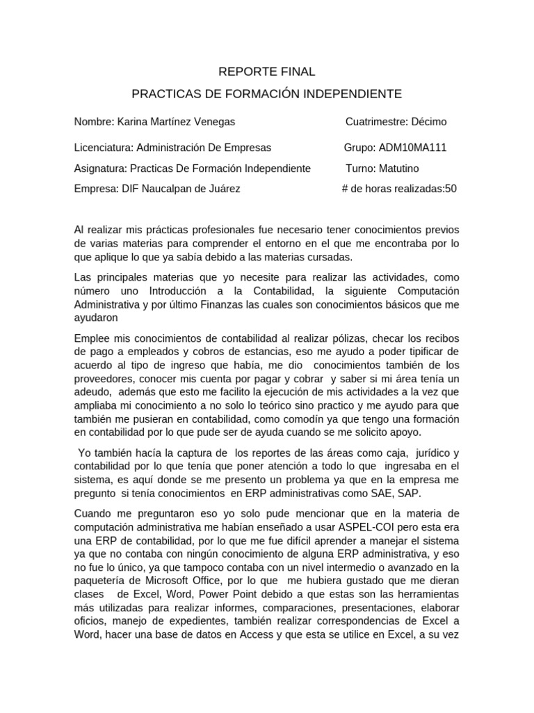 Reporte Final | PDF | Planificación de recursos empresariales | Microsoft Excel