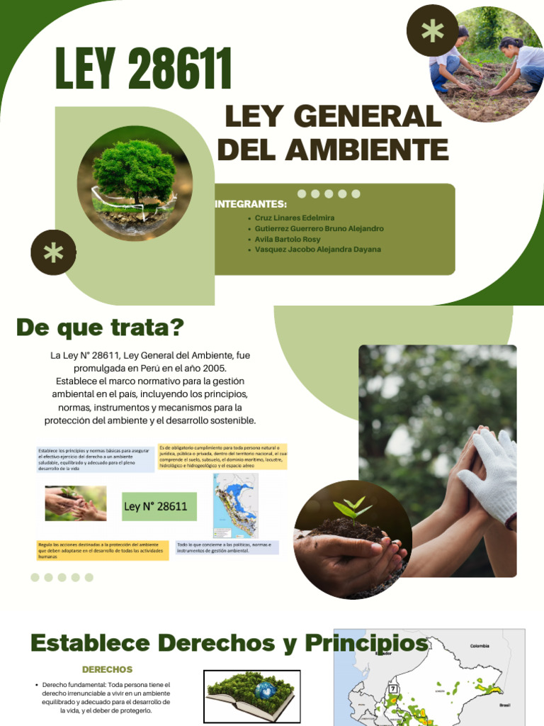 Ley General del Ambiente N° 28611 | PDF | Sustentabilidad | Entorno natural