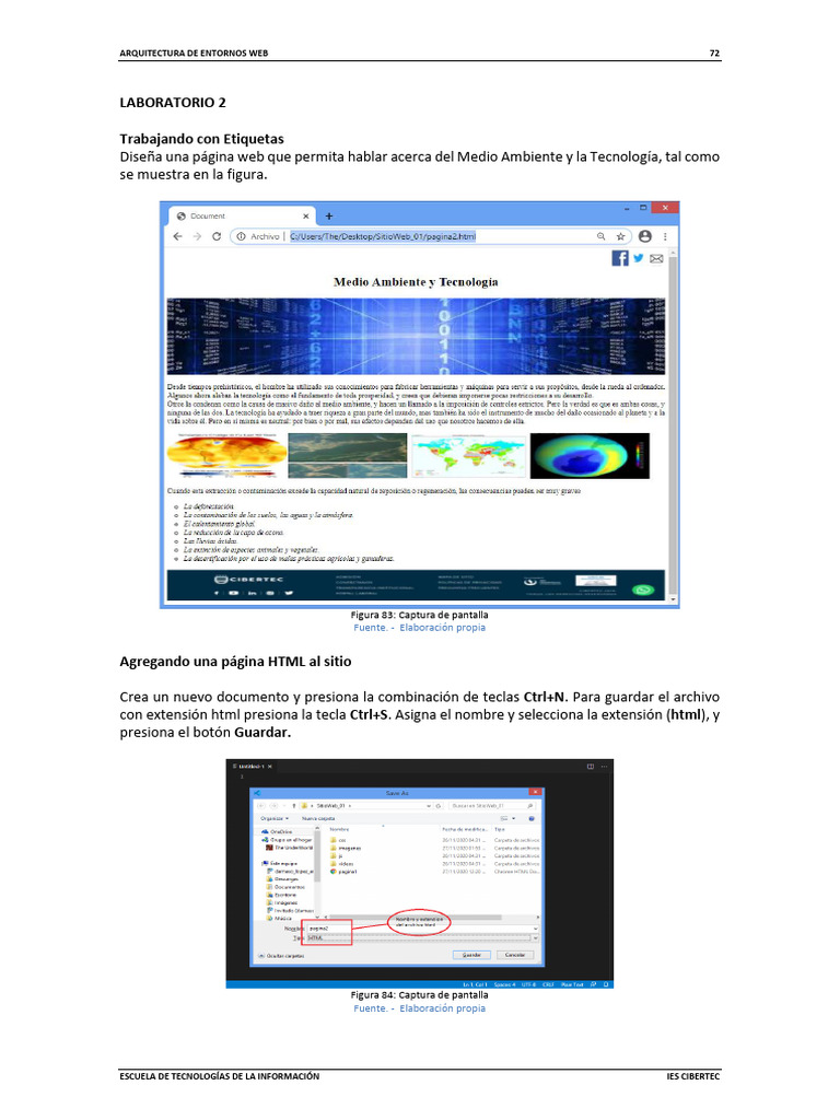 Practica 02 | PDF | HTML | Informática
