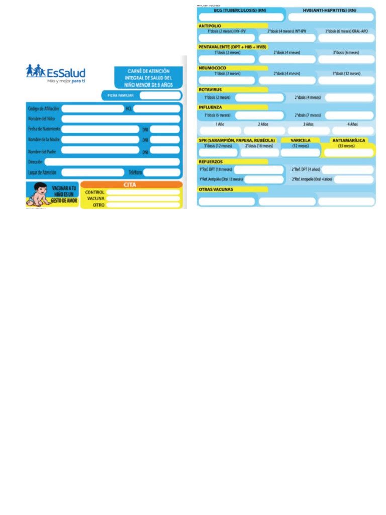 Formato para Desarrollo Del Carné de Cred | PDF