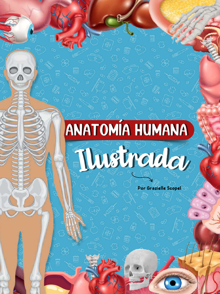 Anatomía Humana Ilustrada | PDF | Articulación | Cartílago