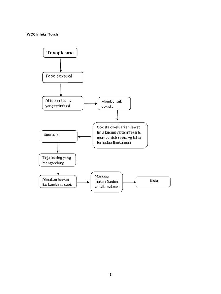 Woc Infeksi Torch | PDF