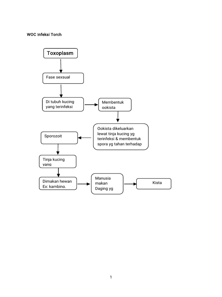 Woc Infeksi Torch Kel 6 | PDF
