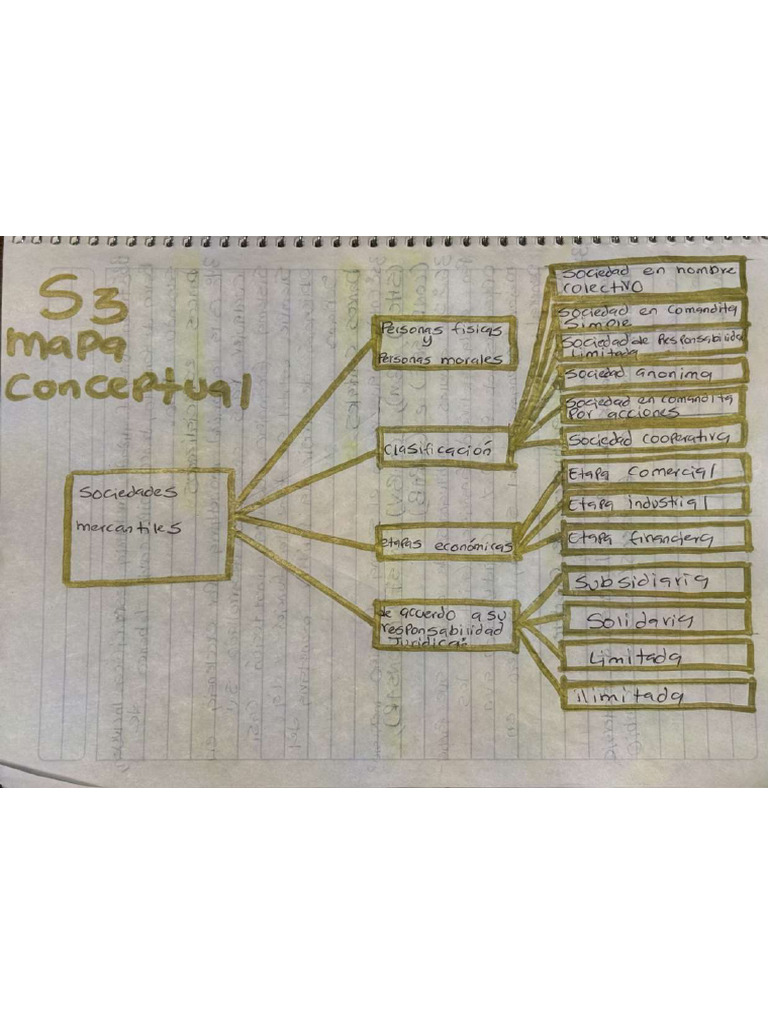 Mapa Conceptual S3 | PDF
