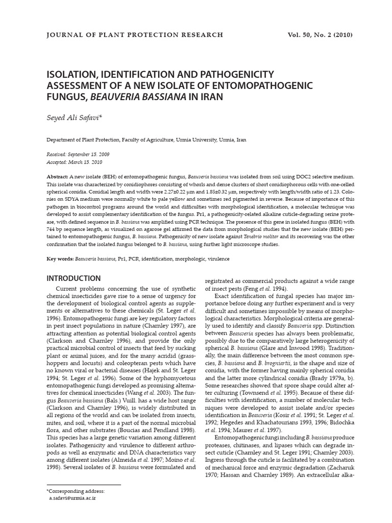Isolation_ identification | PDF | Polymerase Chain Reaction | Fungus