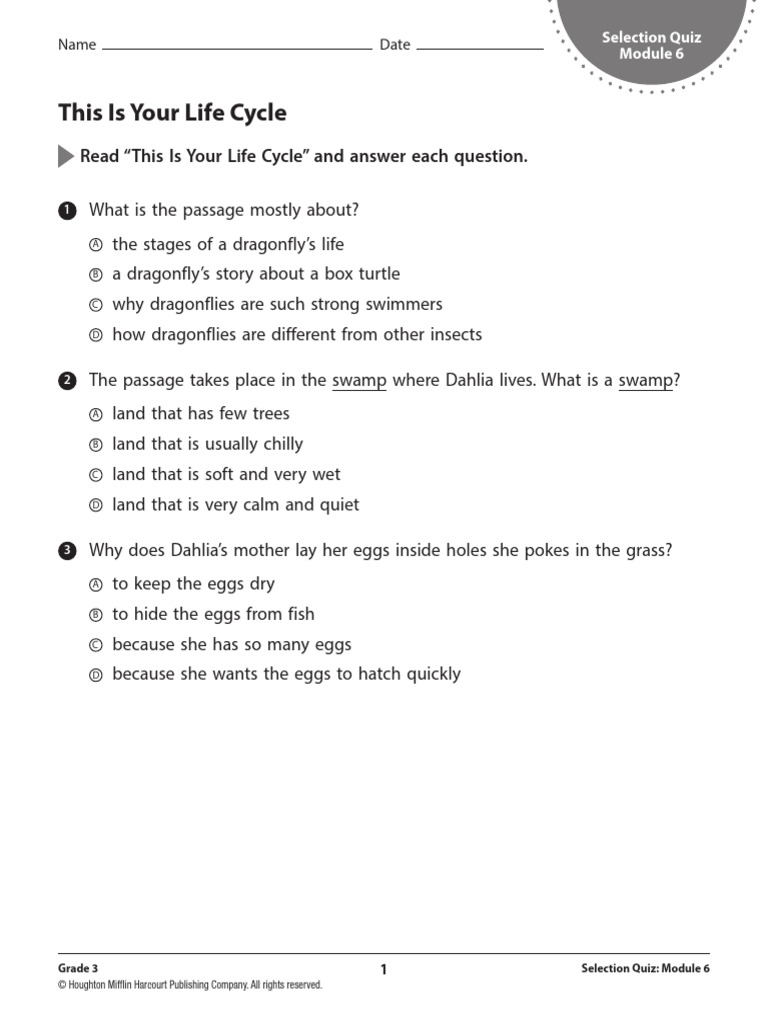 This-is-your-Life-Cycle-quiz | PDF