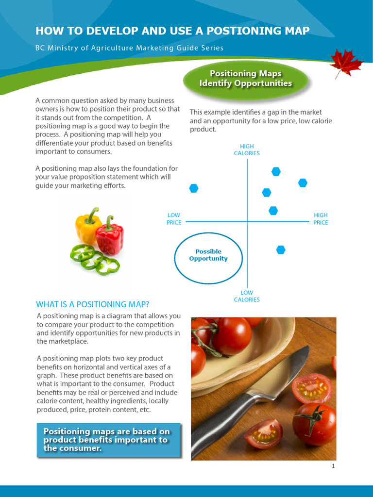 How To Develop and Use A Positioning Map | PDF | Marketing | Marketing ...