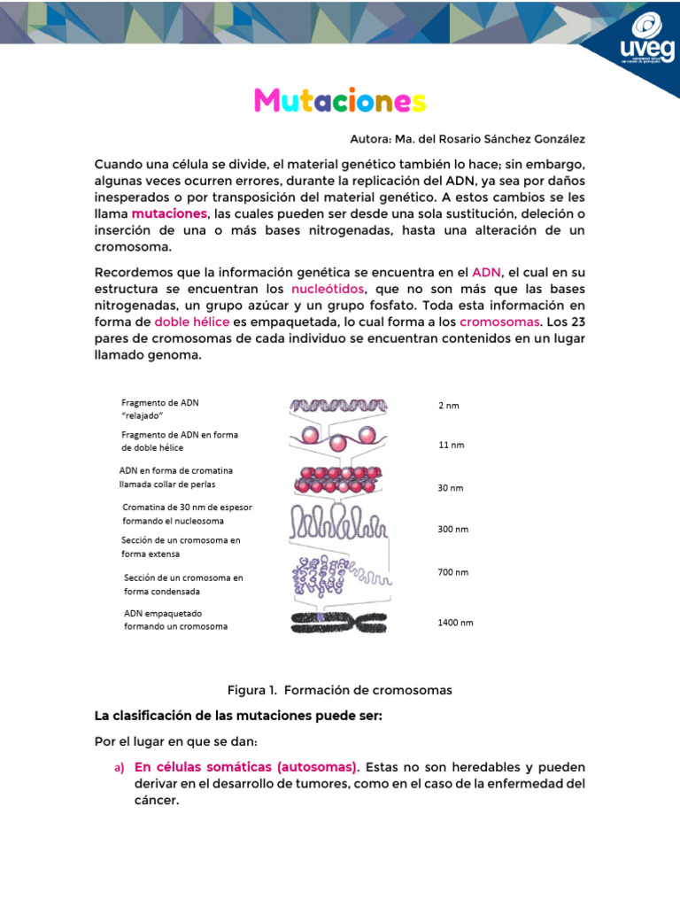 Comprendiendo las Mutaciones Genéticas | PDF | Adn | Mutación
