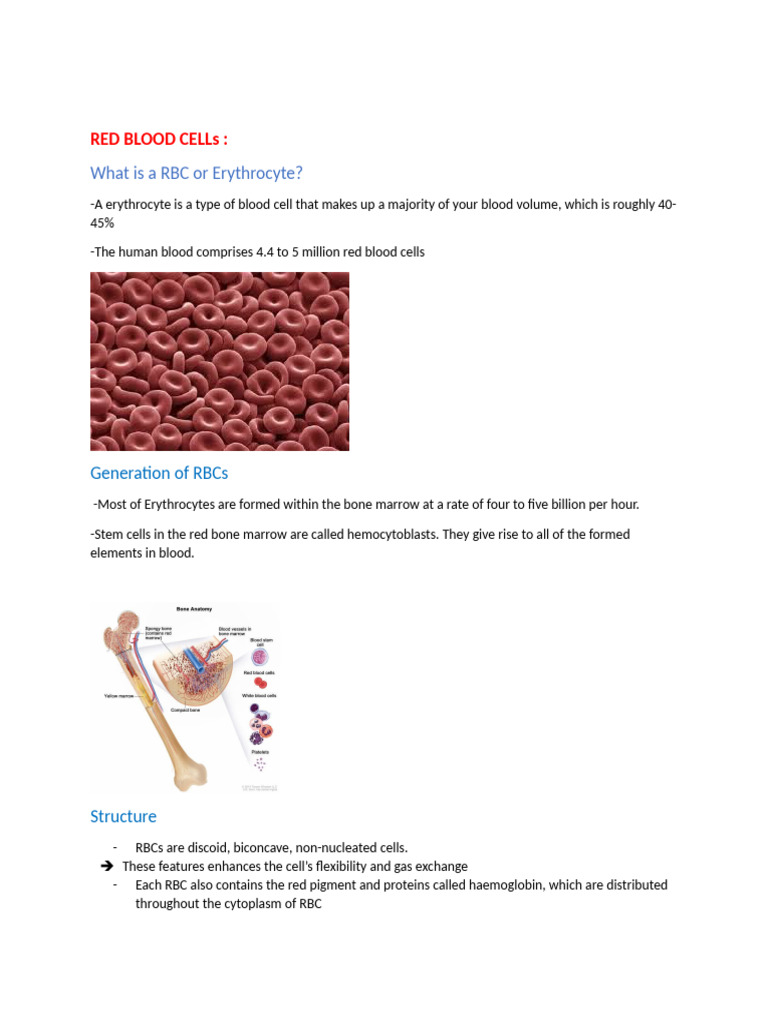 RED BLOOD CELLs | PDF