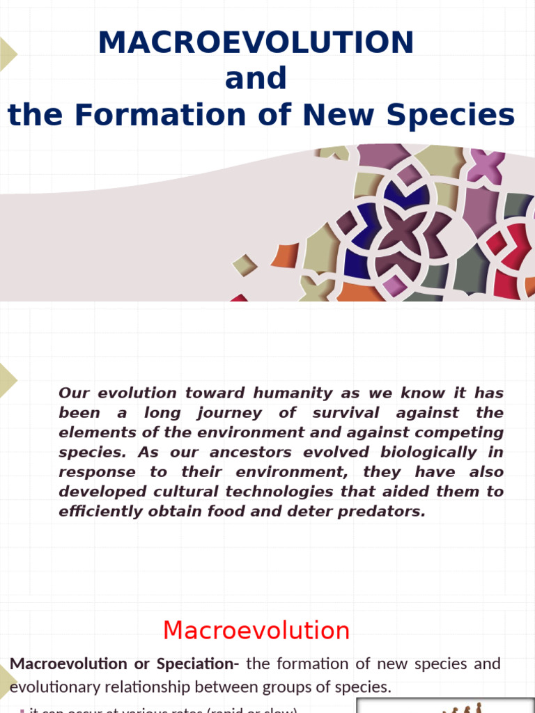 Macro Evolution | PDF | Evolution | Paleolithic