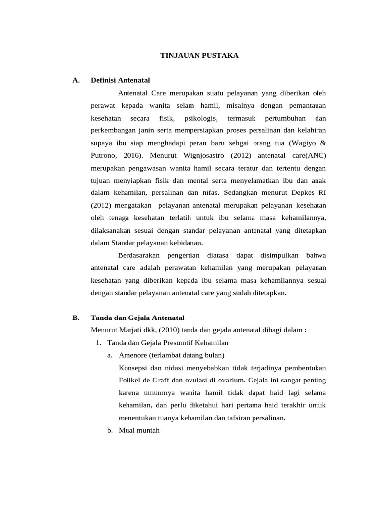 LP Askep Anc Fix | PDF | Kesehatan Holistik