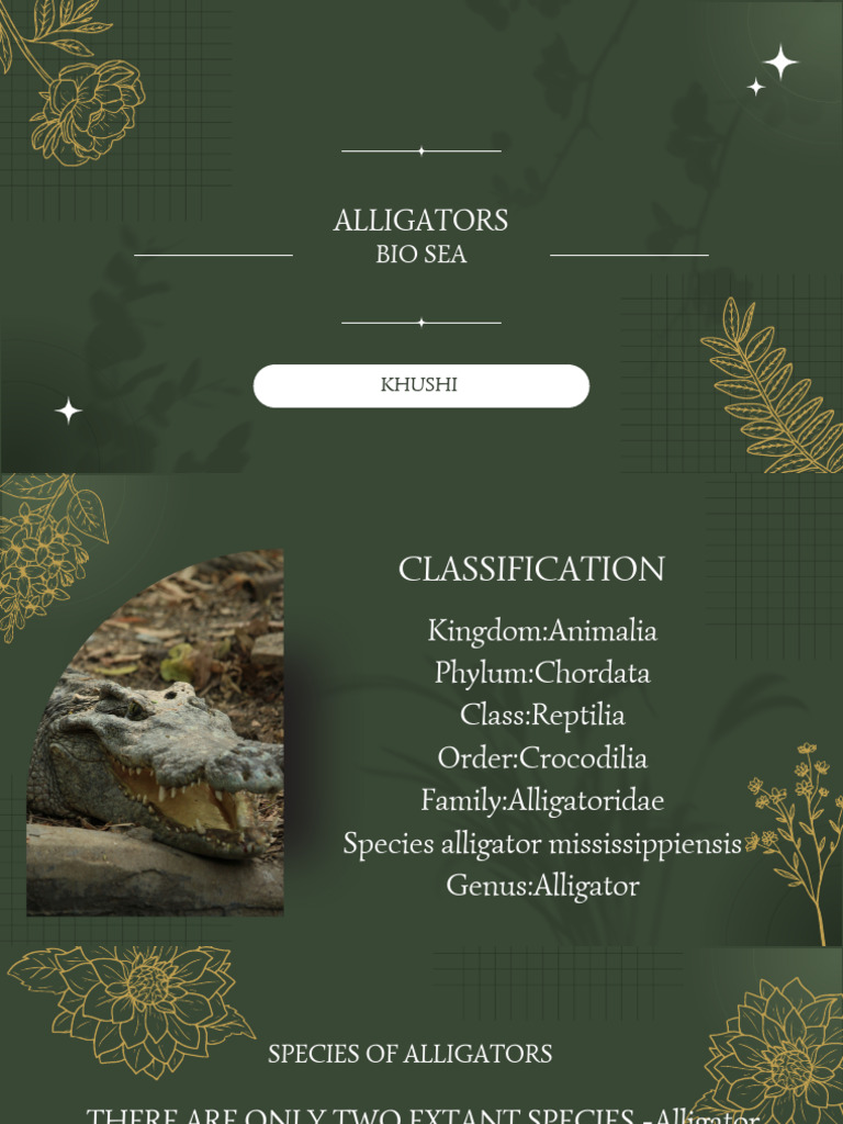 Alligators | PDF | Home & Garden