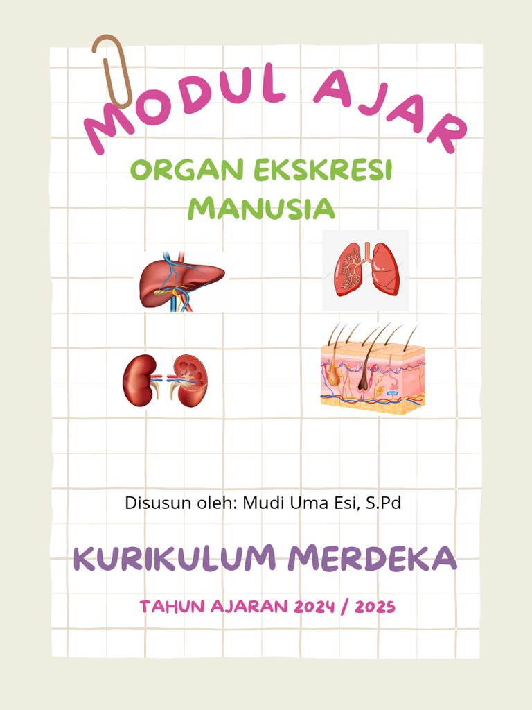 Modul Organ Ekskresi Pasca Praob | PDF | Karier & Perkembangan ...
