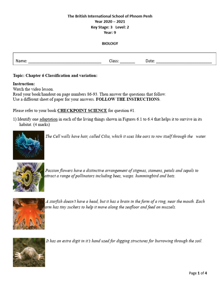 Classification and variation worksheet | PDF | Flowers