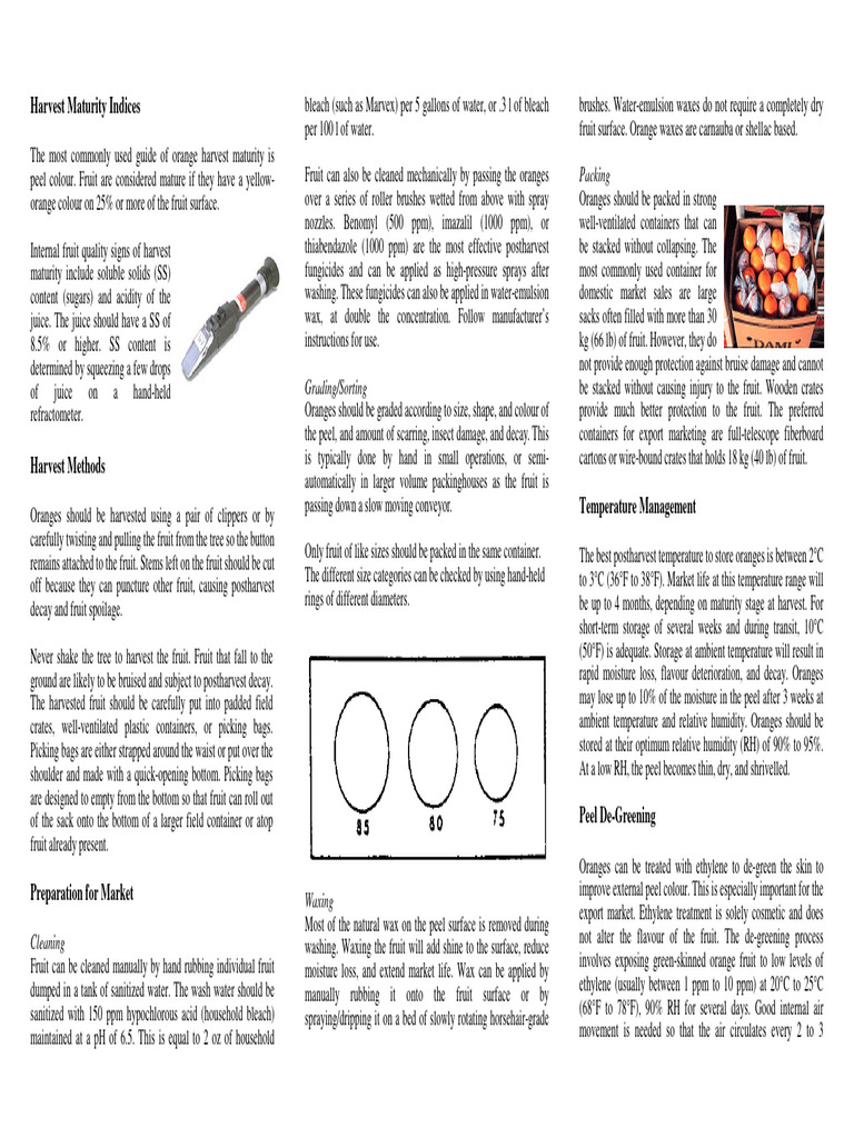 Orange | PDF | Orange (Fruit) | Juice
