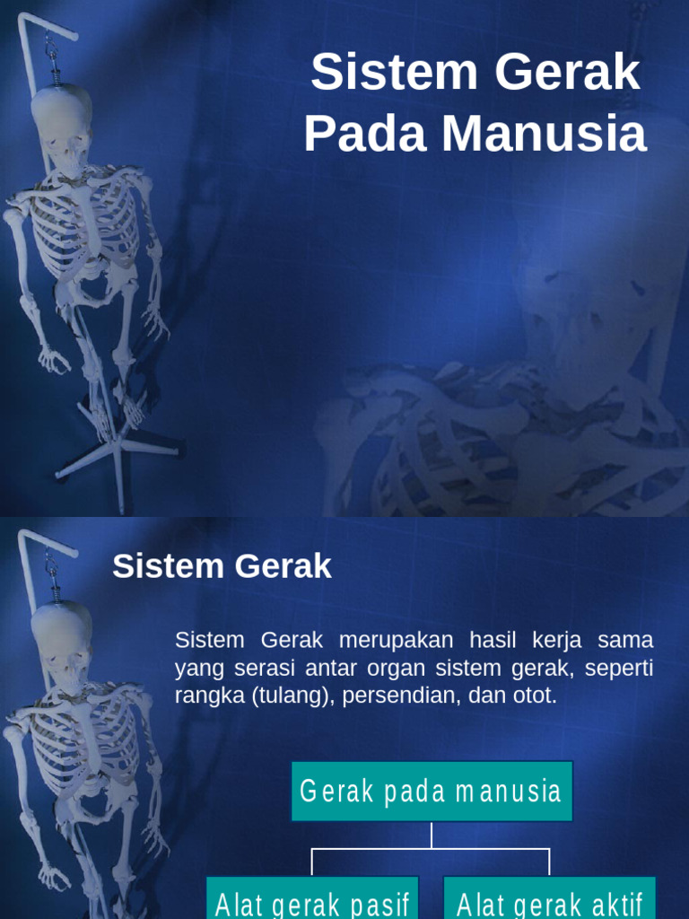 Sistem Gerak Pada Manusia | PDF | Kesehatan Holistik