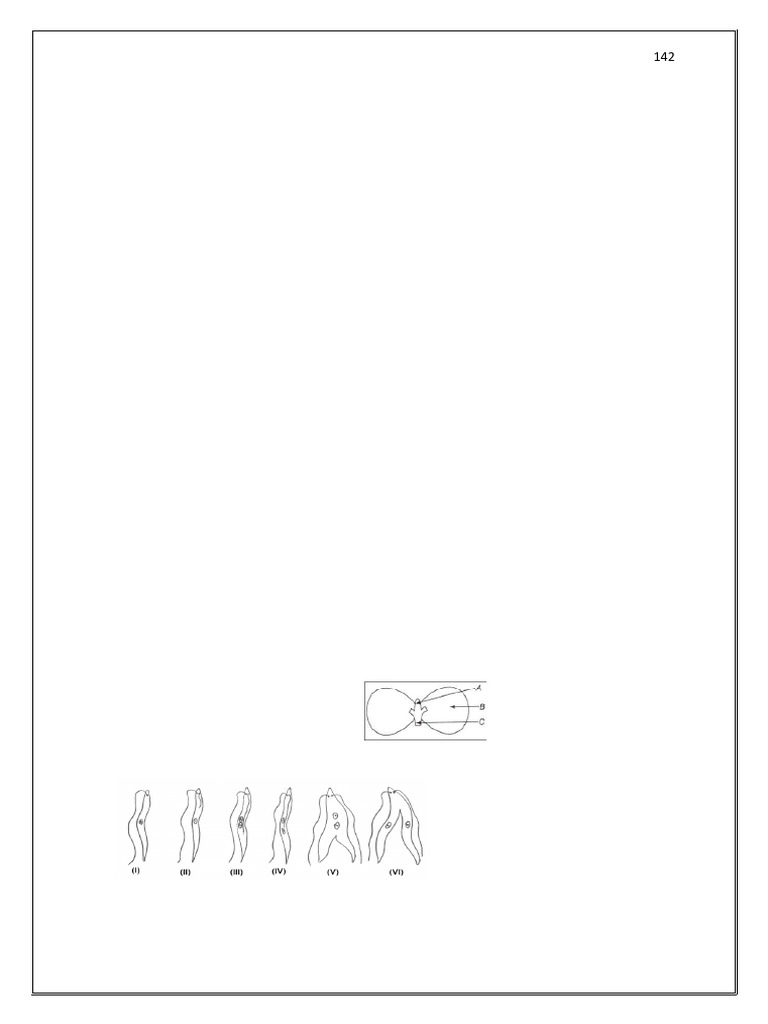 X SCIENCE-143-148 | PDF | Reproduction | Flowers
