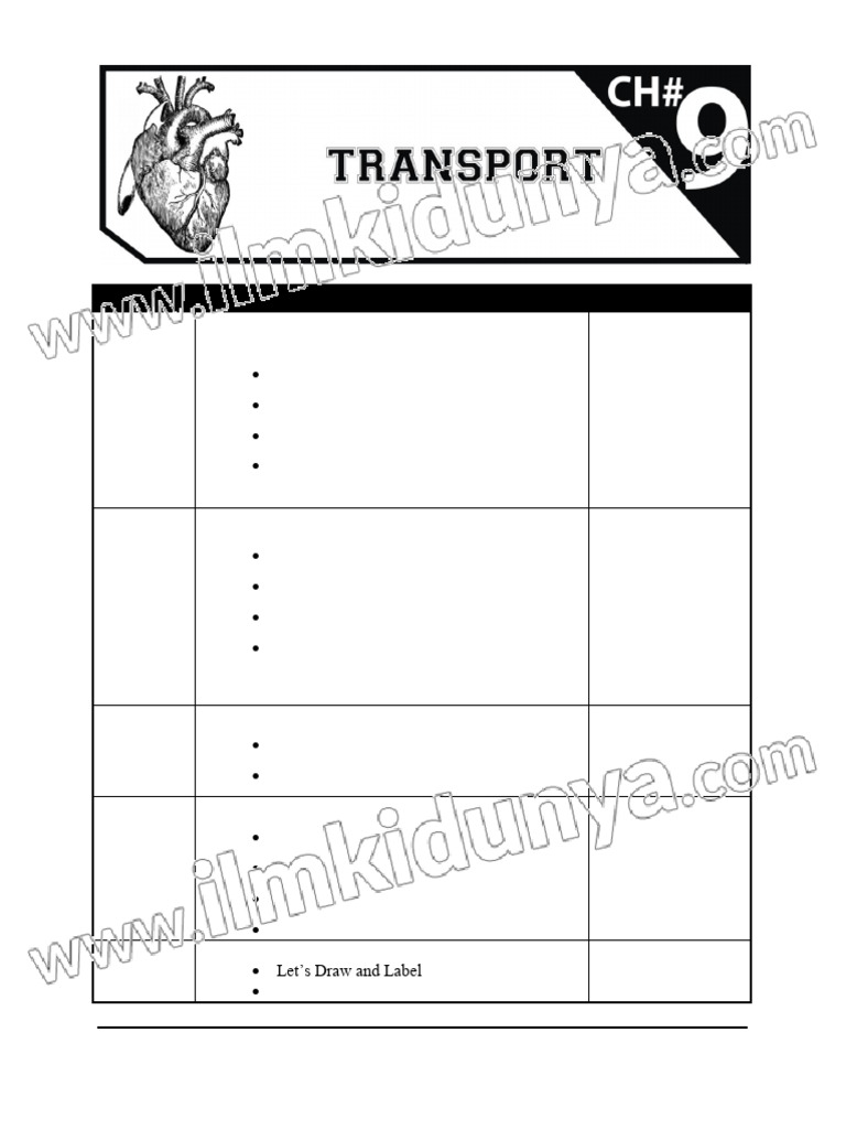 9th Class Biology Notes 2024 CH 9 | PDF | Blood Type | Heart Valve