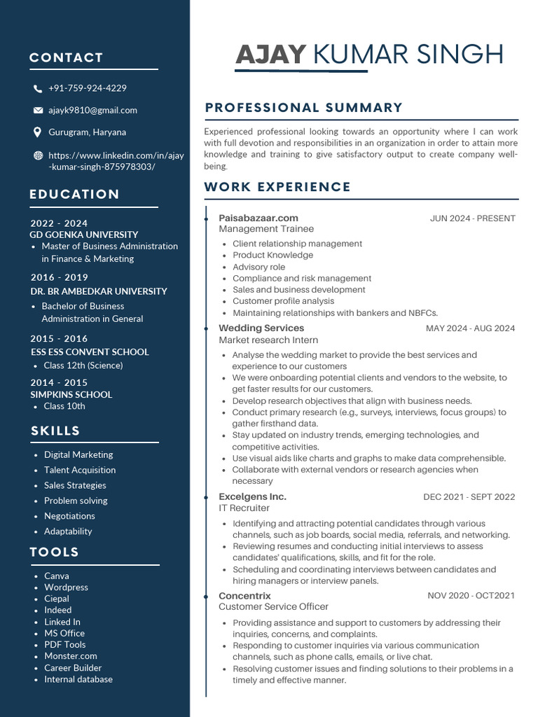 Blue Simple Professional CV Resume (1) | PDF | Business