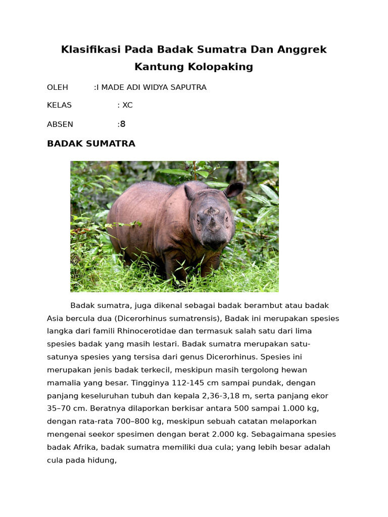 Klasifikasi Badak Sumatra dan Anggrek | PDF