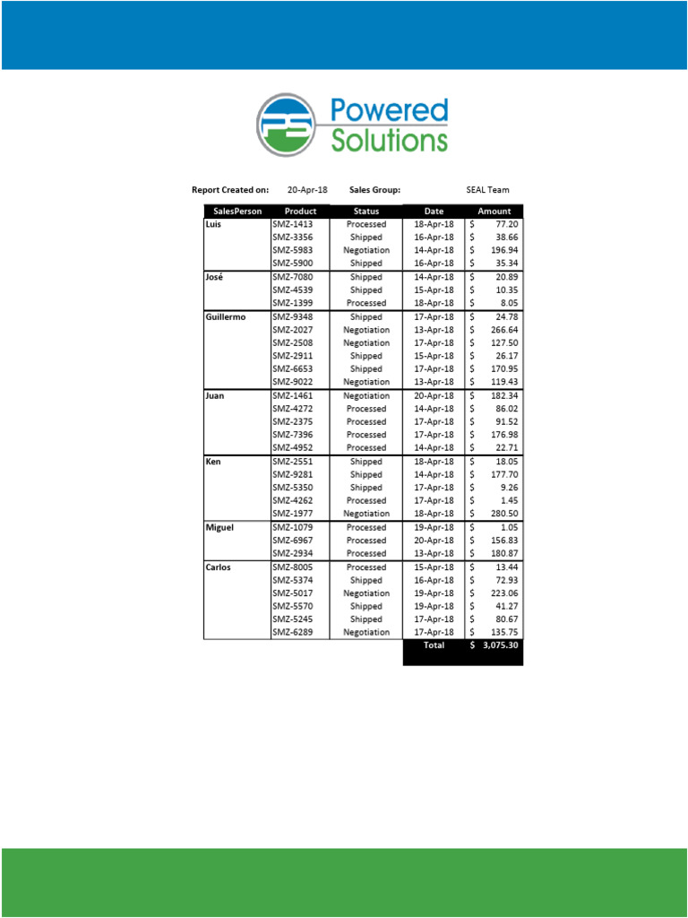 Sales Report | PDF