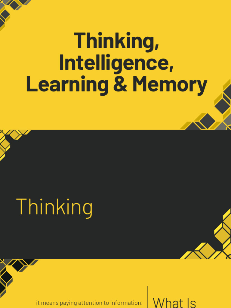 Lesson 4 - Thinking, Intelligence, Learning & Memory | PDF | Memory ...