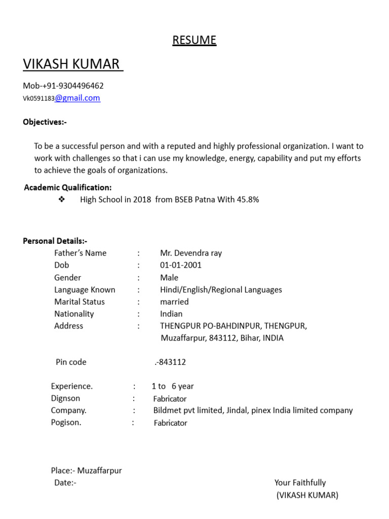 Vikash Kumar: Resume | PDF