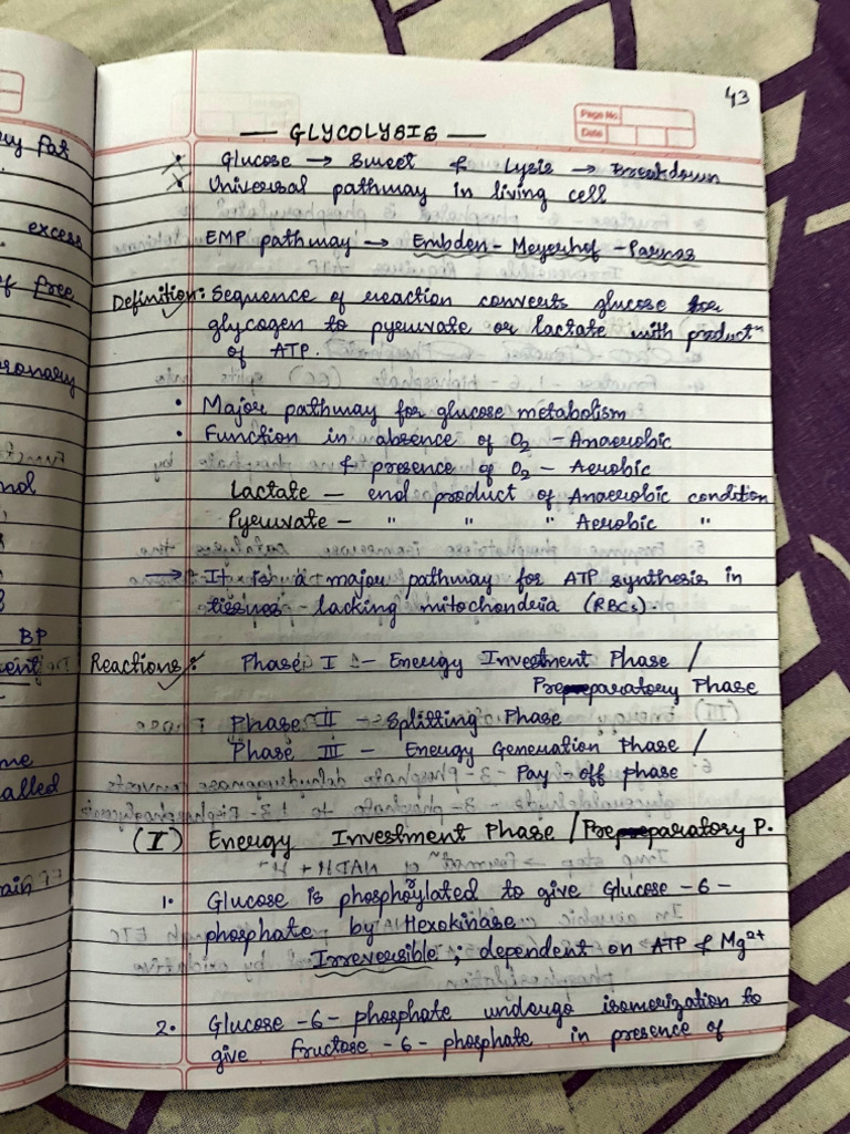 Biochemistry Imp Notes Part 2 | PDF