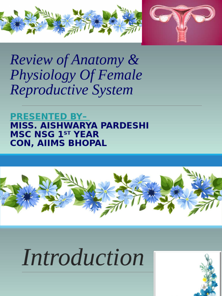 Anatomy & Physiology of Female Reproductive System | PDF | Uterus | Labia