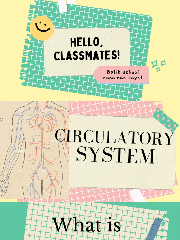 Overview of the Circulatory System | PDF