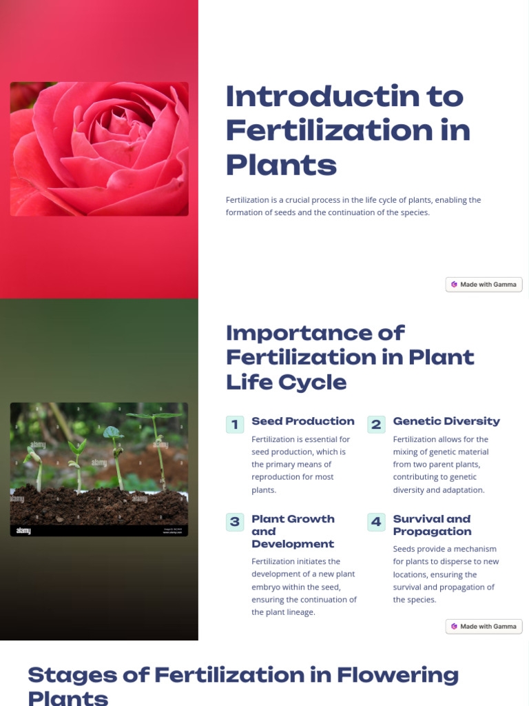 Introductin To Fertilization in Plants | PDF | Fertilisation | Seed