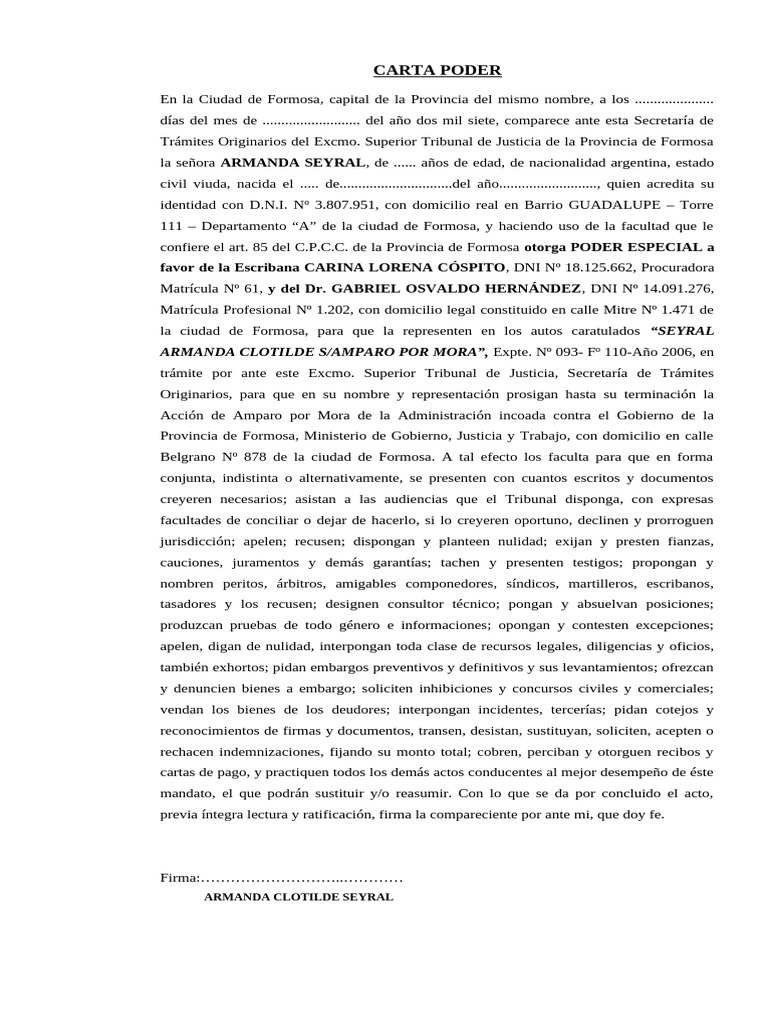 ACTA PODER - Amparo Por Mora - Ante El STJ - SEYRAL ARMANDA | PDF | Gobierno