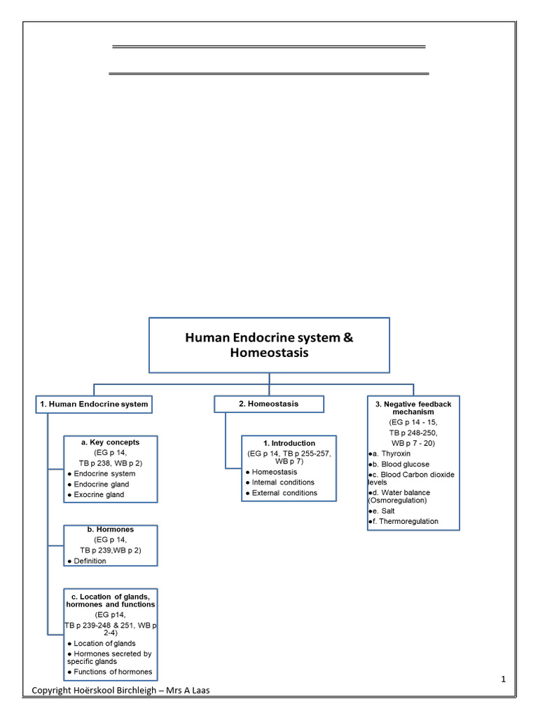 GR 12 LS Topic 7 - Human Endocrine System and Homeostasis | PDF ...