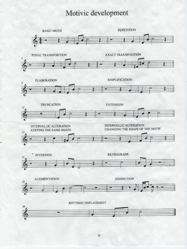 Motivic Development | PDF