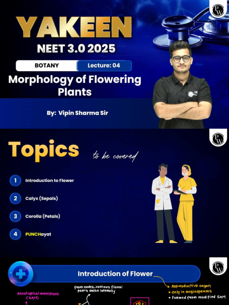 Morphology of Flowering Plants 04 Class Notes Yakeen NEE | PDF Morphology of Flowering Plants 04 Class Notes Yakeen NEE | PDF