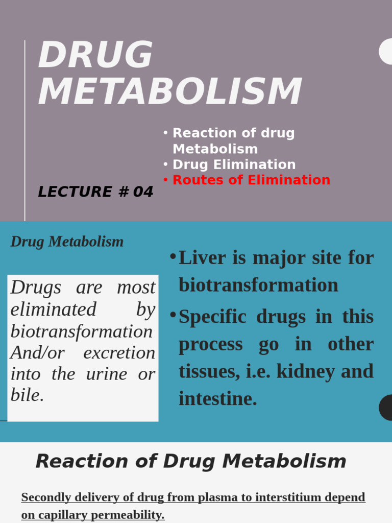 Drug Metabolism and Elimination Overview | PDF