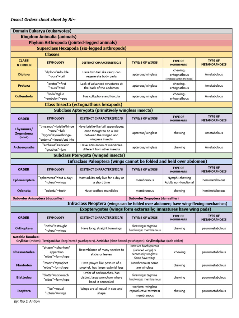 Insect Orders Cheat Sheet Formula | PDF | Pest (Organism) | Beetle