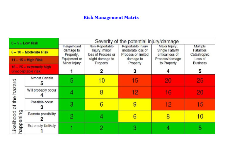 Risk Management Matrix | PDF