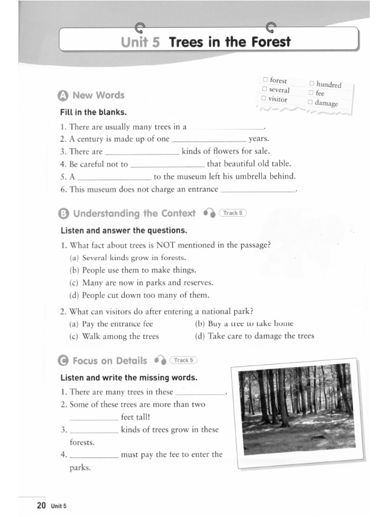 Dictation 5 - Trees in The Forest | PDF