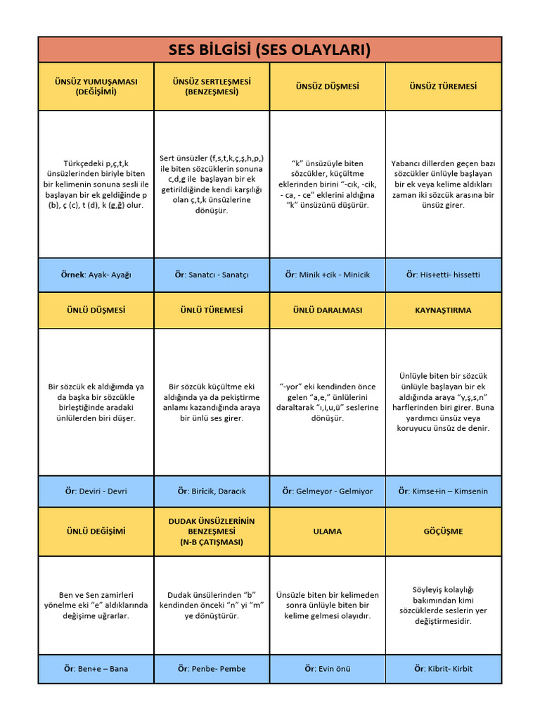Tyt - Ses Bi̇lgi̇si̇ Tablo | PDF