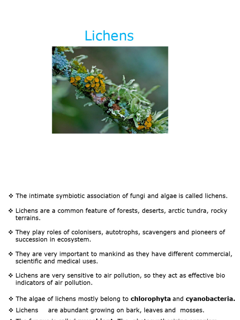 Lichen Pdf Mycology Organisms