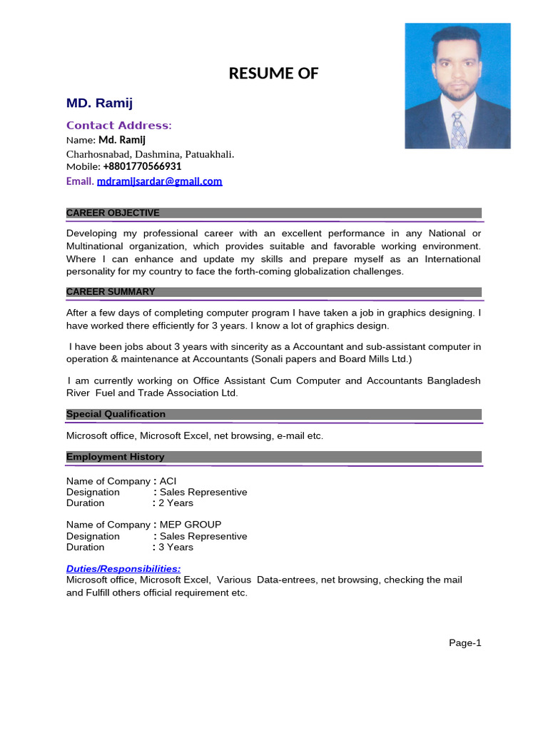 MY NEW CV | PDF | Computing