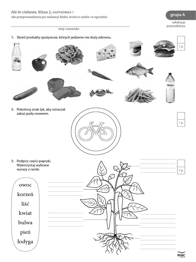 Kartkowka NR 1 Przyroda kl2 Grupa A | PDF