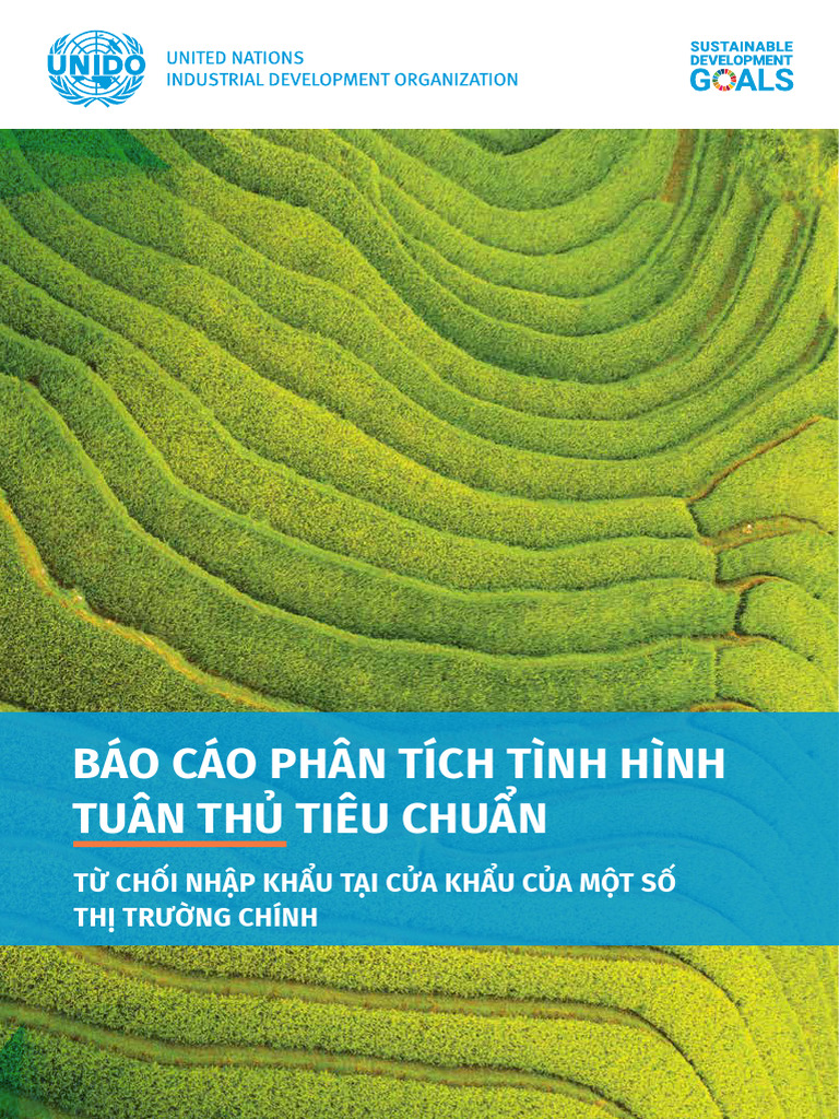 Sca Vietnam Vietnamese Final | PDF