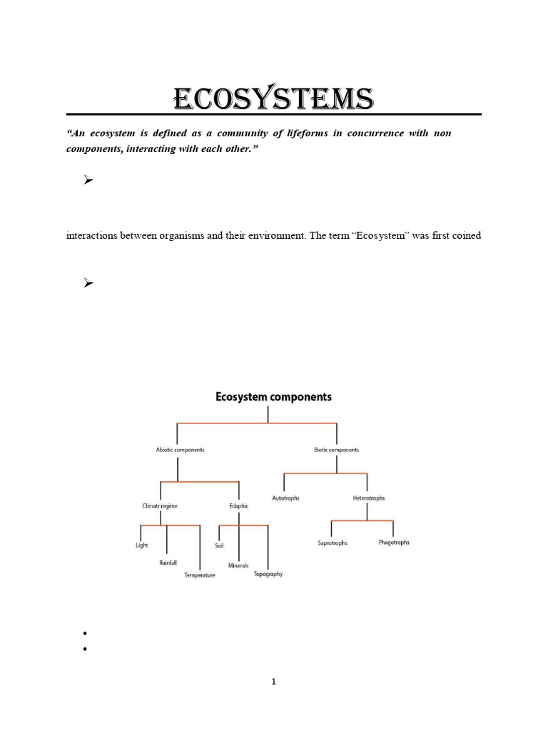 Ecosystem Notes | PDF | Food Web | Ecosystem