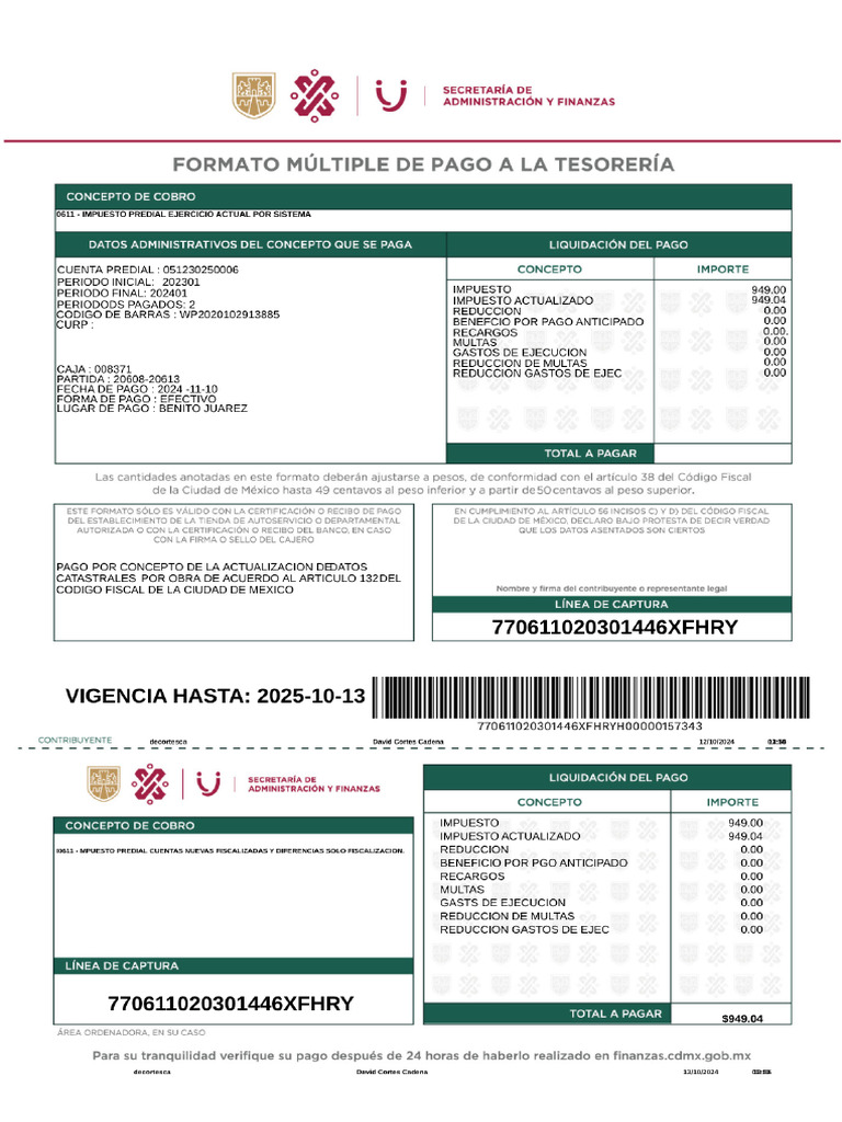 Formato Multifuncional CDMX | PDF