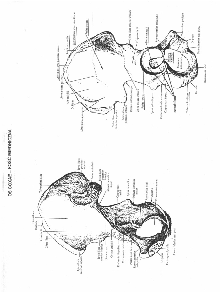 k-k-d-2-pdf